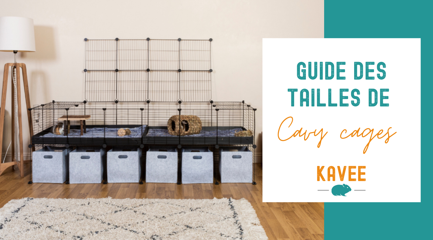 Guide des tailles des cavy cages - Kavee Blog France